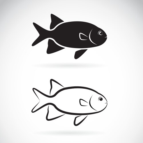 Aquatic animals Royalty Free Vector Image - VectorStock