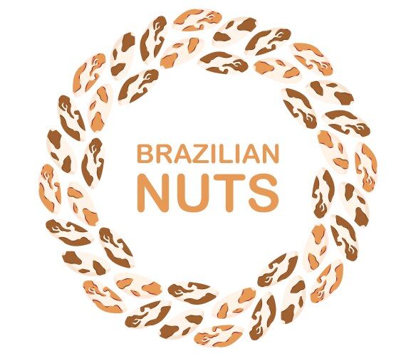 Nuts circle frame round pistachio border flat Vector Image