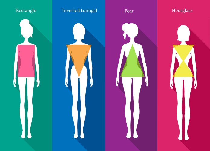 Female body types characters Royalty Free Vector Image