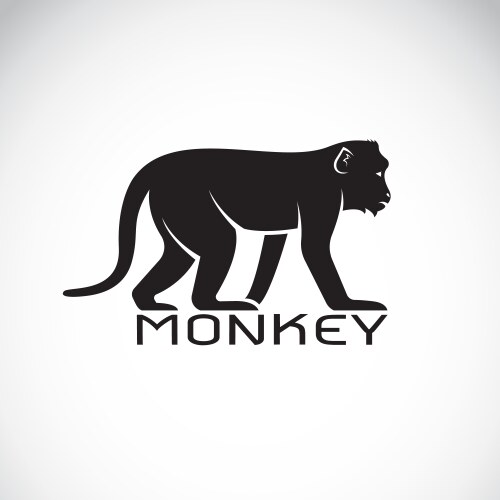 Monkey Outline Vector Images (over 9,500)