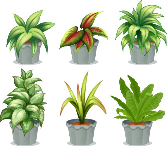 Plants Vector Images (over 2.2 million)