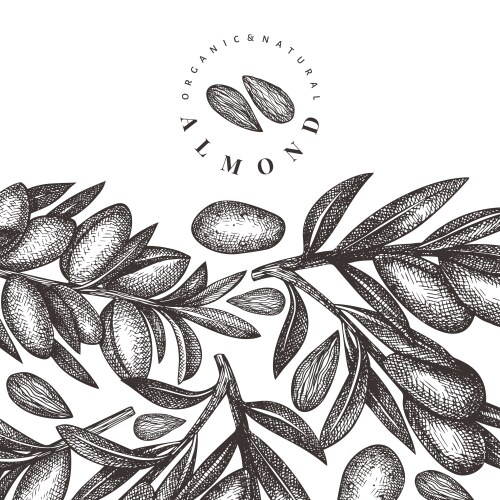 Almond tree design template branch hand Royalty Free Vector