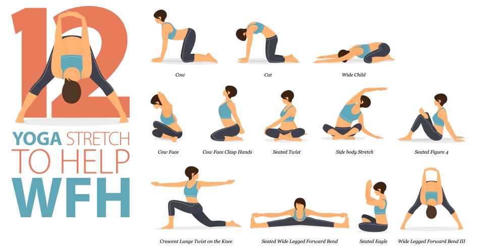 Cartoon fox in yoga poses healthy gymnastics Vector Image