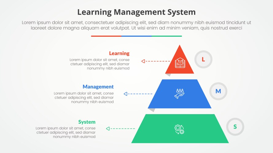 Lms learning management system infographic Vector Image