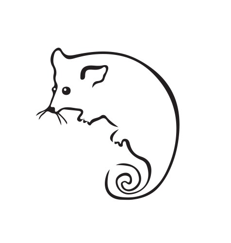 Possum Vector Images (over 440)