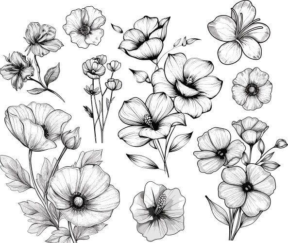 Flowers Engraving Vector Images (over 43,000)