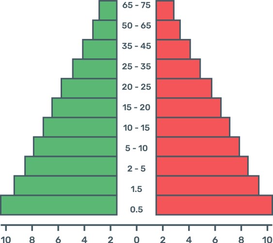 Population Pyramid Vector Images (over 230)