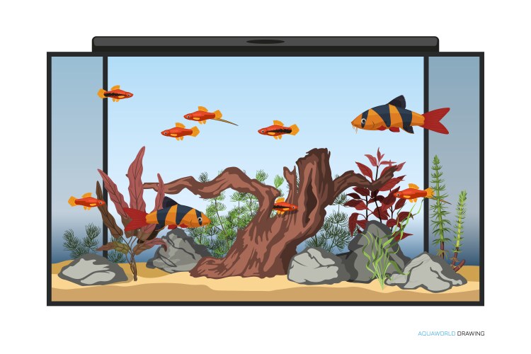 Aquarium tank cartoon Royalty Free Vector Image