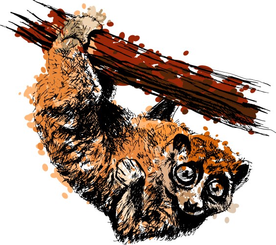 Lori Vector Images (over 450)