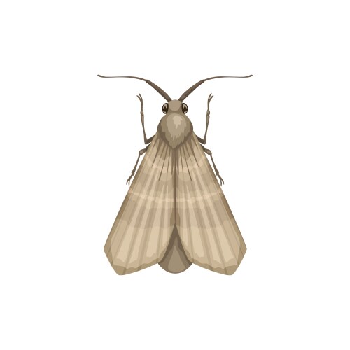 Pest Control Vector Images (over 13,000)