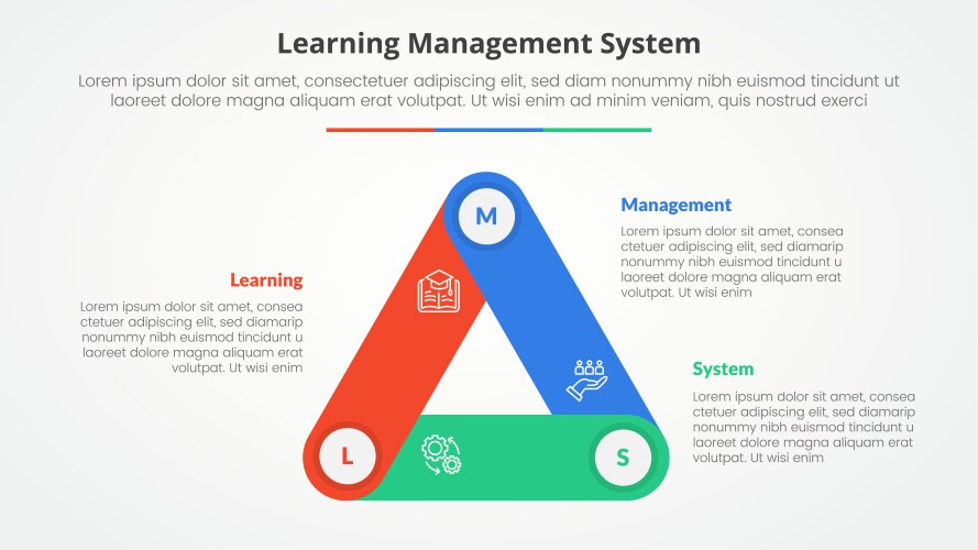 Lms learning management system infographic Vector Image