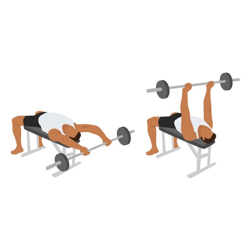 Man doing parallel dip bar exercise flat Vector Image