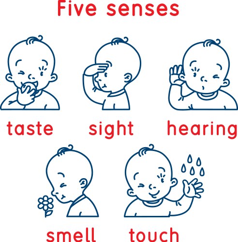 Cartoon Five Senses Vector Images (over 450)