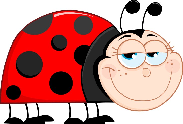 Lady bug Royalty Free Vector Image - VectorStock