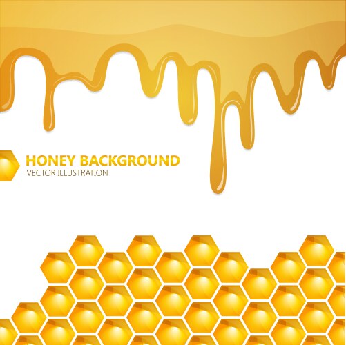 Dripping honey Royalty Free Vector Image - VectorStock