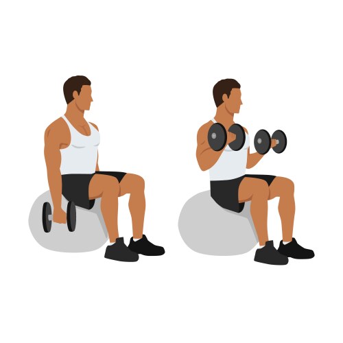 Bicep Curls Vector Images (over 380)