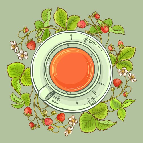 Cup of tea on grey background Royalty Free Vector Image