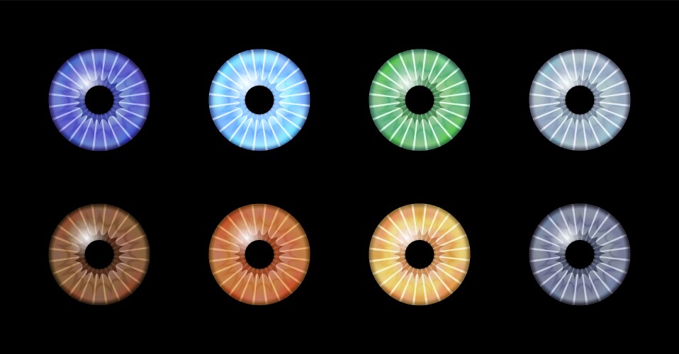 Human iris poster Royalty Free Vector Image - VectorStock