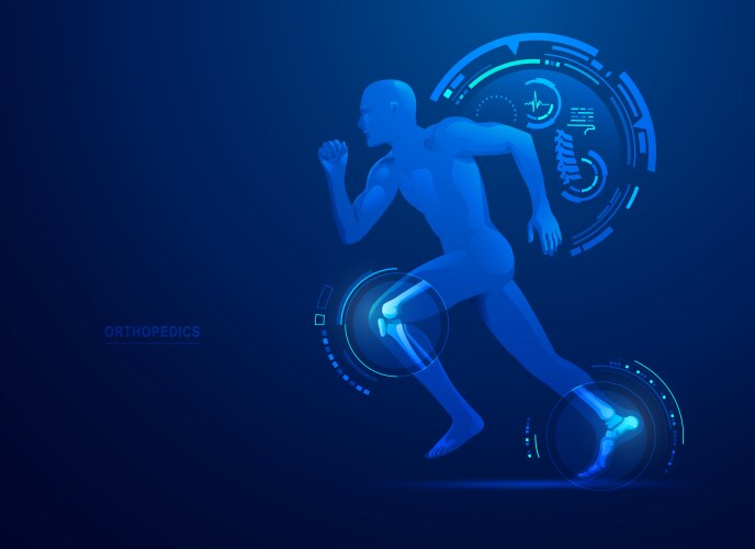 Skeleton scan Royalty Free Vector Image - VectorStock