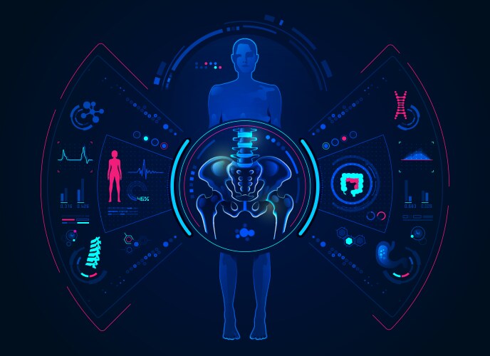 Skeleton scan Royalty Free Vector Image - VectorStock