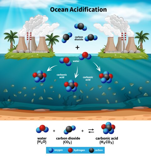 Carbon Cycle Diagram Vector Images (over 150)
