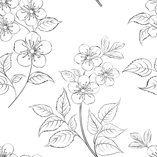 Cherry Blossom Drawing Vector Images (over 6,000)