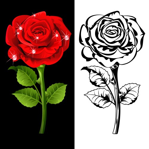 Branch of roses Royalty Free Vector Image - VectorStock