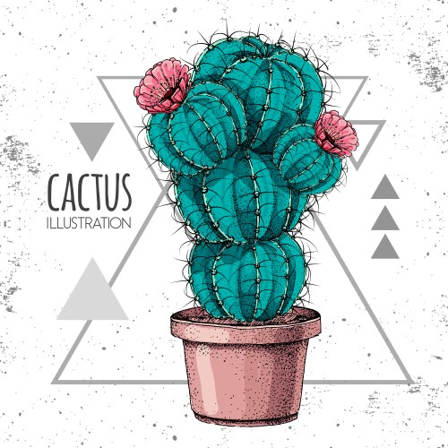 Cactus Art Vector Images (over 32,000)