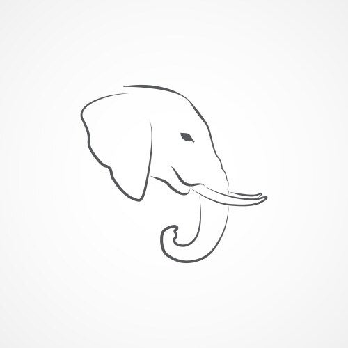 Elephant Head Front Vector Images (over 440)