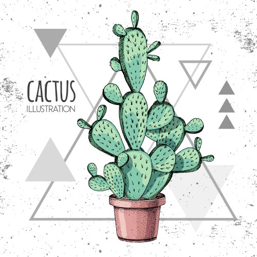 Cactus plants texture seamless pattern background Vector Image