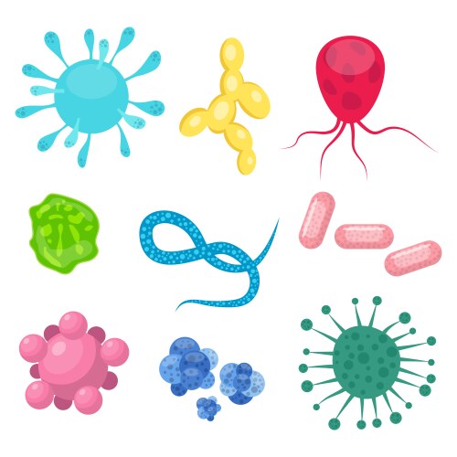 Microorganisms set Royalty Free Vector Image - VectorStock