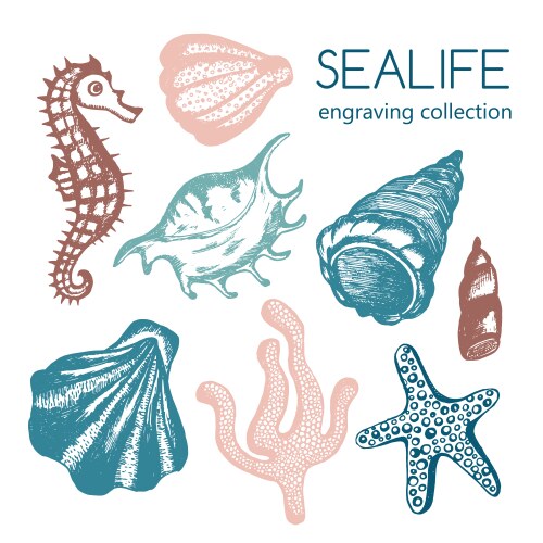 Seashells seamless pattern sea shell summer ocean Vector Image