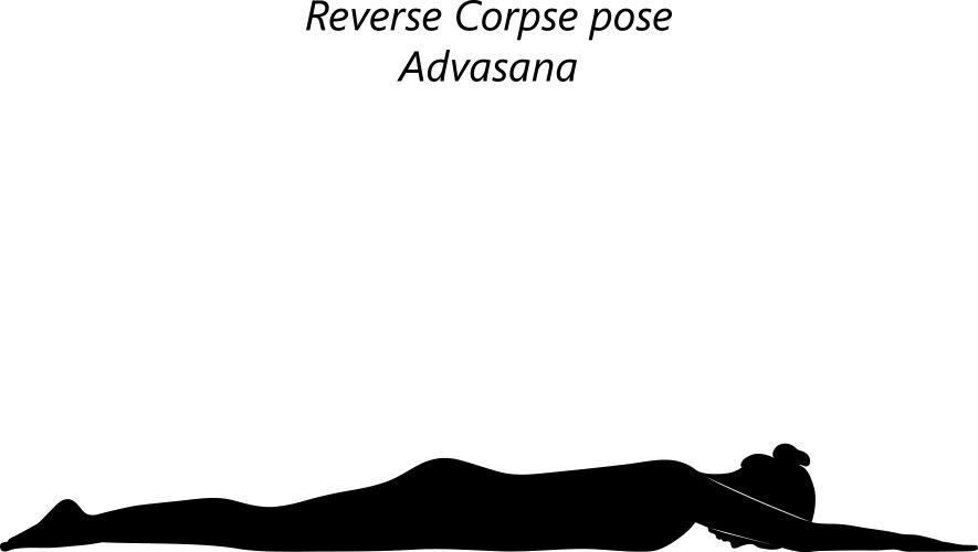 Reverse corpse with arms on sides pose advasana Vector Image