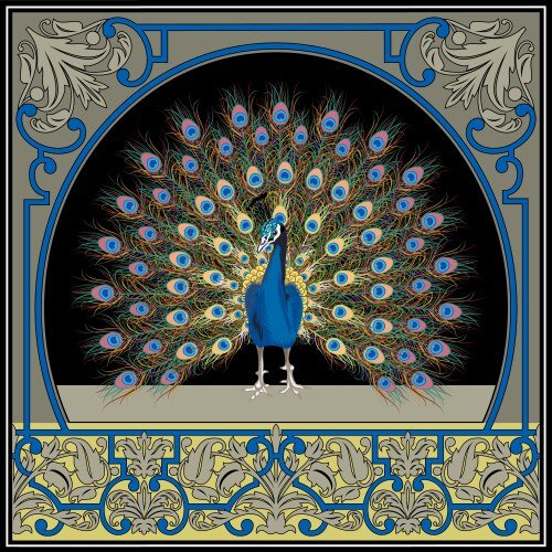 Peacock Vector Images (over 18,000)