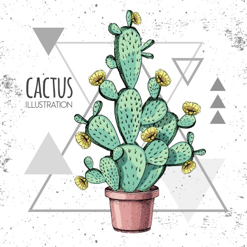 Cactus plants texture seamless pattern background Vector Image