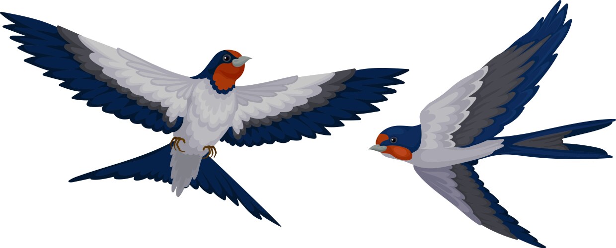 Swallow or martin passerine bird with long tail Vector Image