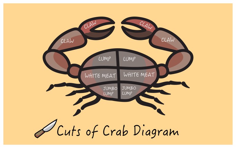 Cuts Diagram Fish Vector Images (over 110)