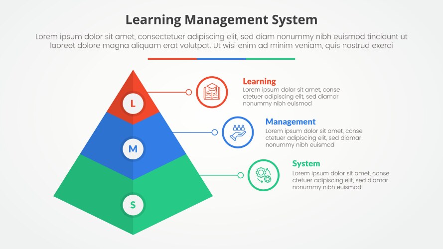 Lms learning management system infographic Vector Image