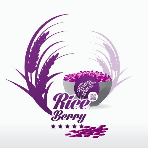 Rice2 Royalty Free Vector Image - VectorStock