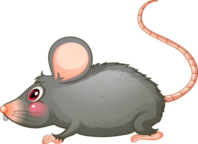 Rat Vector Images (over 32,000)