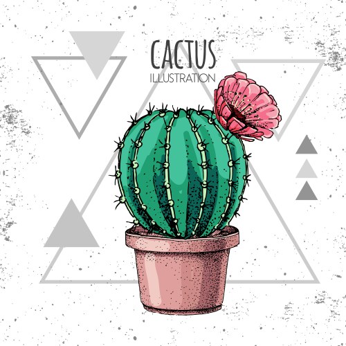 Cactus plants texture seamless pattern background Vector Image