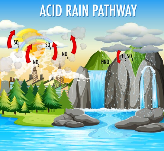 Water cycle diagram for science education Vector Image