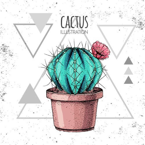 Hand drawing cactus Royalty Free Vector Image - VectorStock