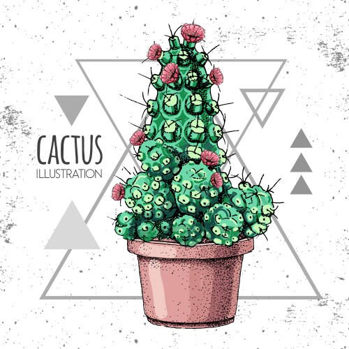 Cactus plants texture seamless pattern background Vector Image