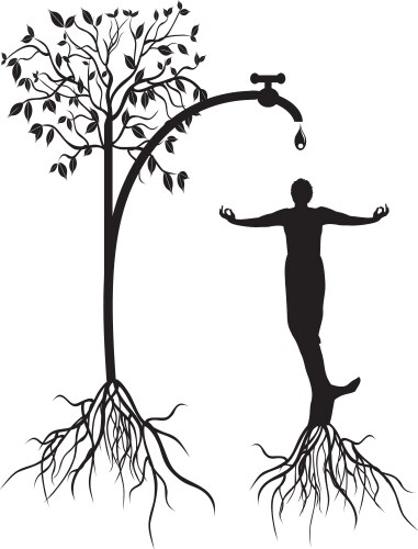 Tree water logo Royalty Free Vector Image - VectorStock