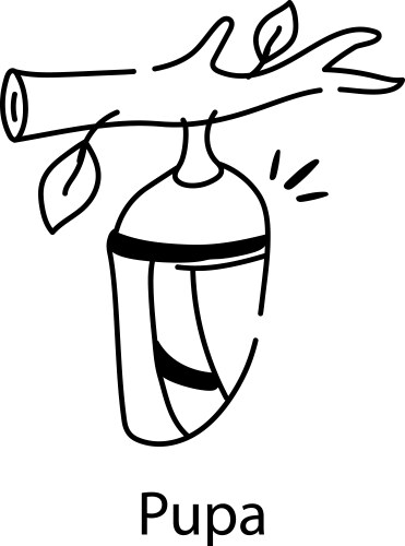 Chrysalis Vector Images (over 1,000)