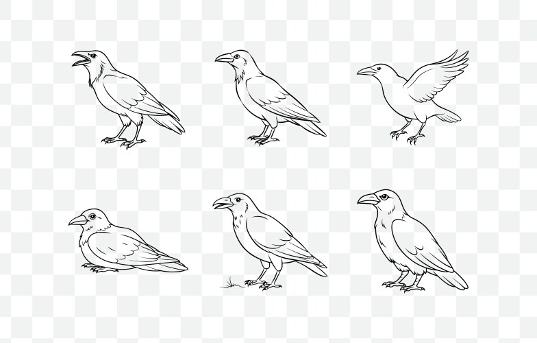 Crow Outline Vector Images (over 2,800)