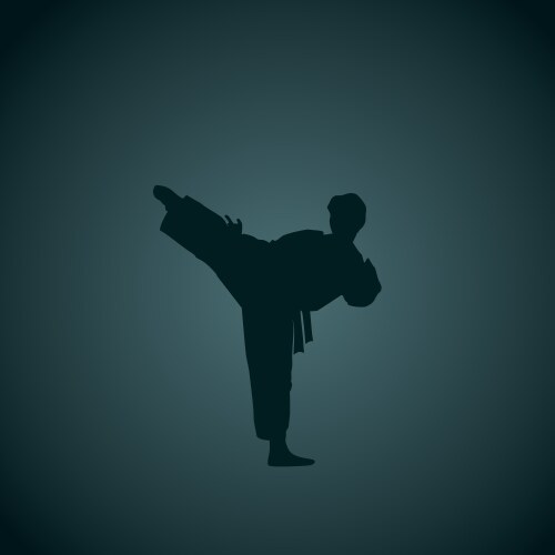 Karate Vector Images (over 23,000)