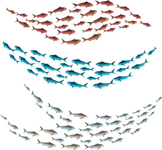 Cartoon tropical fish shoal and seaweeds paper cut