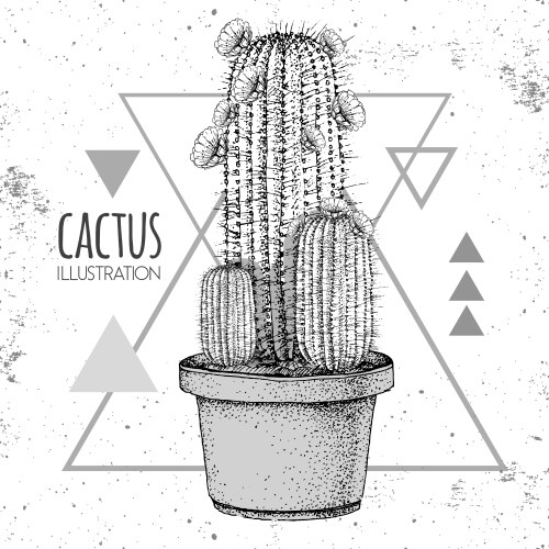 Cactus plants texture seamless pattern background Vector Image